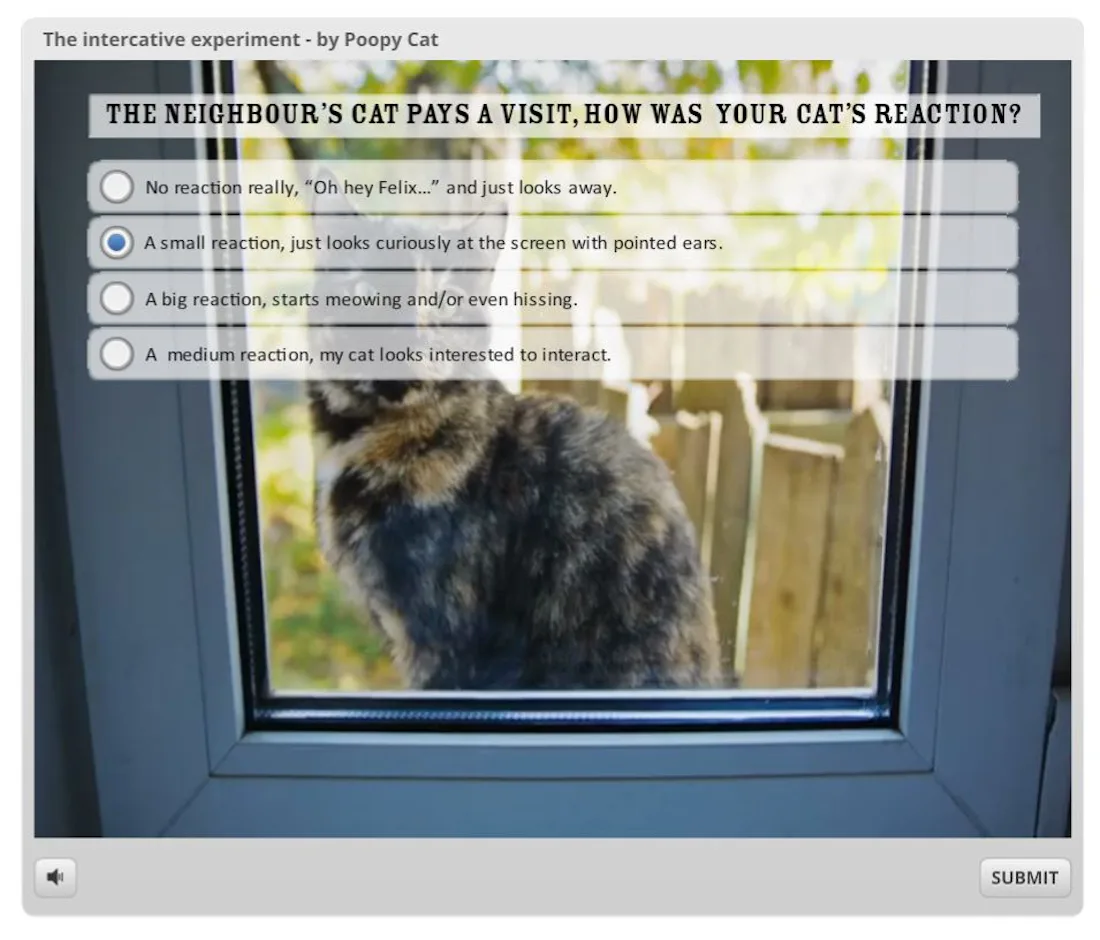 What's Your Cat's Personality? I Made My Furry Buddy Take Poopy Cat's ...