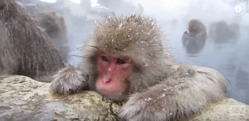 Why Do We Get Goosebumps? Here's The Science Behind Your Prickly Skin ...