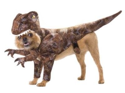 SoftClaws, Testicle Implants, and 8 Other Totally Insane Pet Accessories