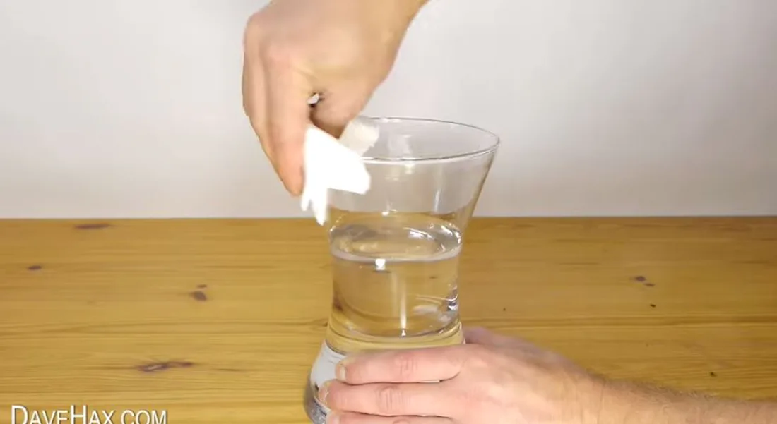 This Flower Arranging Life Hack from YouTuber DaveHax Might Make ...