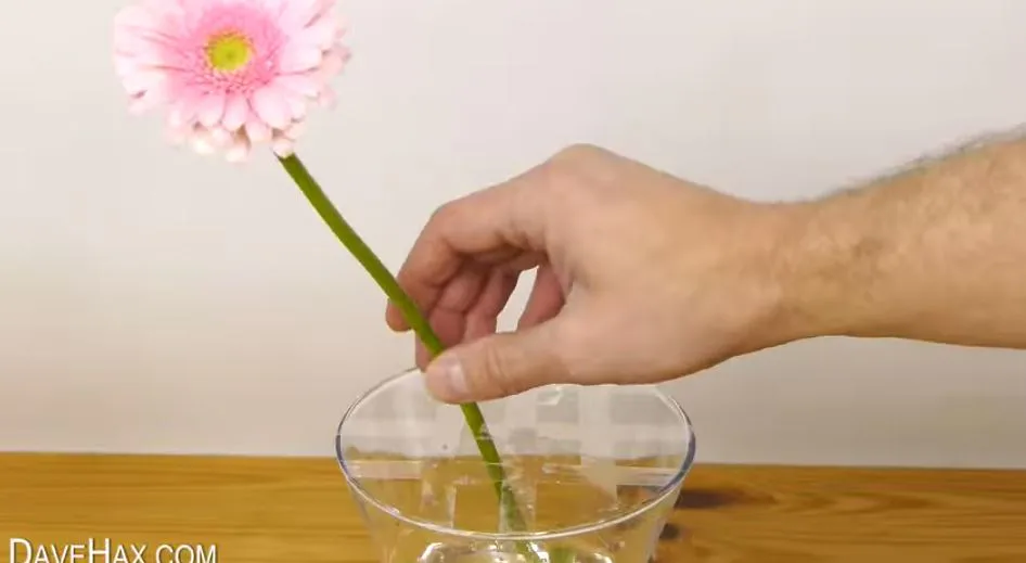 This Flower Arranging Life Hack from YouTuber DaveHax Might Make ...