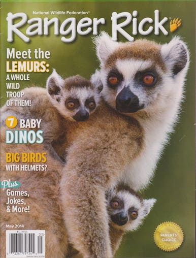 'Sassy,' 'Tiger Beat,' 'YM,' and More Magazines You Definitely Miss ...