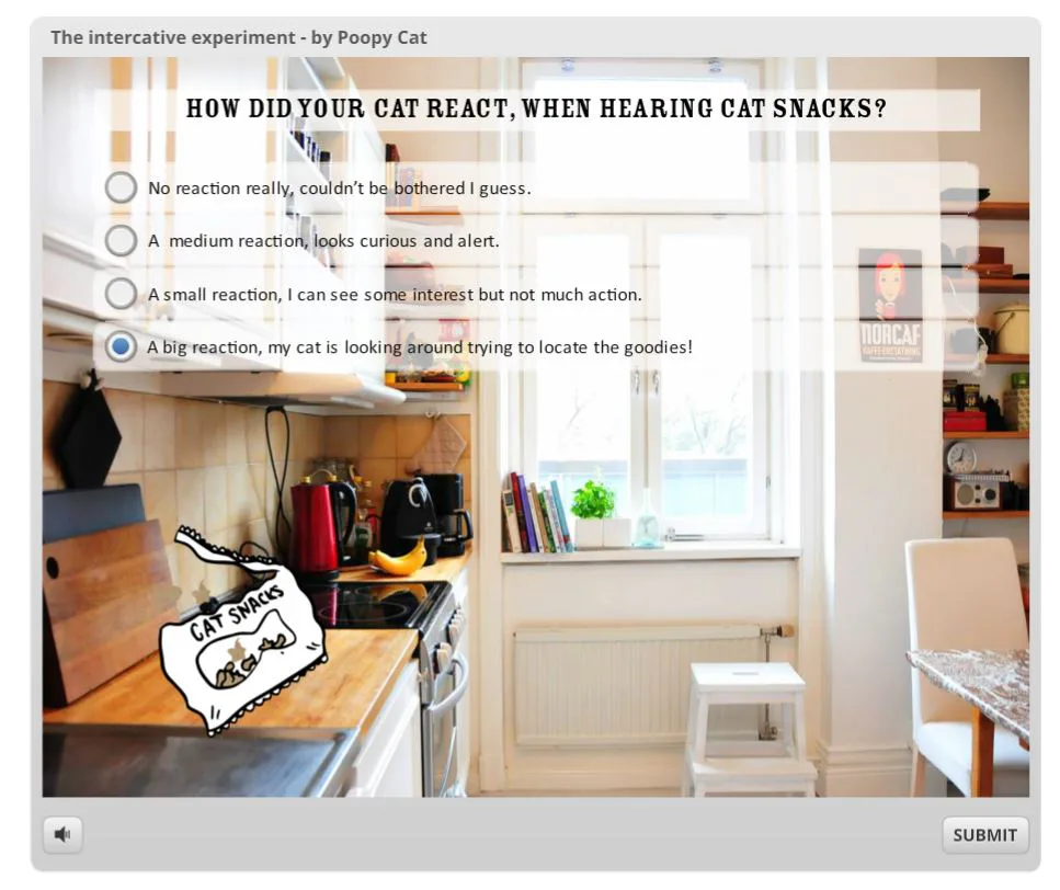 What's Your Cat's Personality? I Made My Furry Buddy Take Poopy Cat's ...