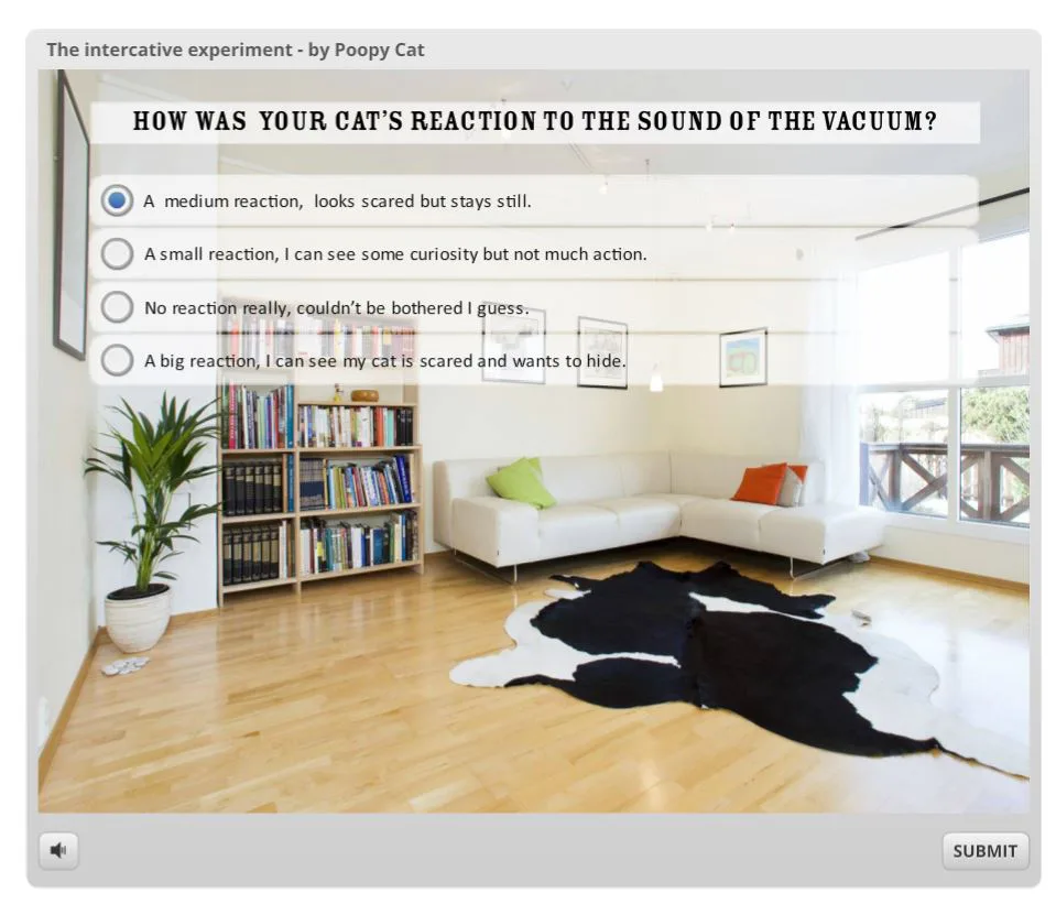 What's Your Cat's Personality? I Made My Furry Buddy Take Poopy Cat's ...