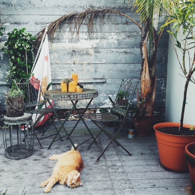 11 Spring Decorating Ideas That Will Instantly Brighten Up Your Apartment