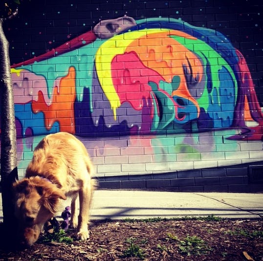 What Happened to Phil Diffy From 'Phil of the Future'? Ricky Ullman Has ...