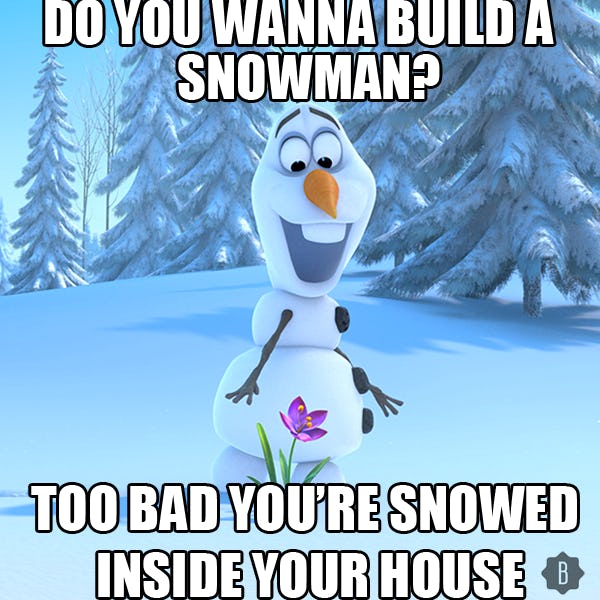 9 Blizzard Of 2015 Memes That Perfectly Describe How You Feel About The ...