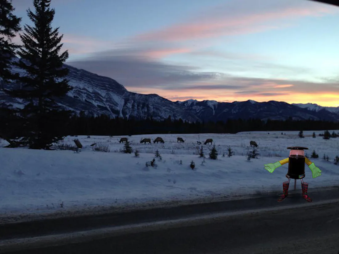Meet hitchBOT, Canada's Adorable Walking, Talking, Hitchhiking Robot