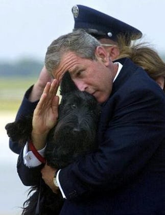 George W. Bush Unveiled A New Book & Painting In Honor Of His Father ...