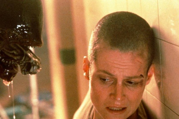 Why Did Kellie Pickler Have A Shaved Head? Whatever The Reason, It ...