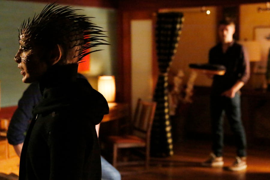 What Marvel Character Is Raina On 'Agents Of S.H.I.E.L.D.'? Her Ability ...