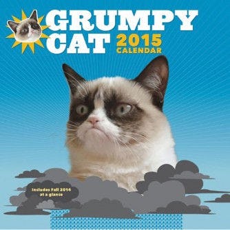 'Grumpy Cat's Worst Christmas Ever' Merchandise Brings the Perfect ...