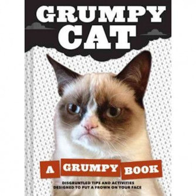 'Grumpy Cat's Worst Christmas Ever' Merchandise Brings the Perfect ...