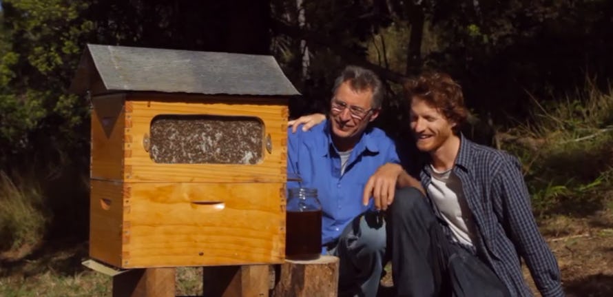 The Flow Hive Is A Father-Son Duo's Magical Invention That Gets You ...