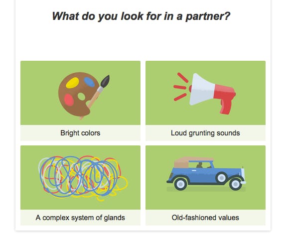 Taking Google's Earth Day "What Animal Are You" Quiz Might Be The Most ...