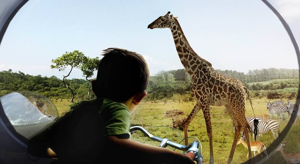 Denmark's Insane "Zootopia" Zoo Flips The Roles Of Humans And Animals ...