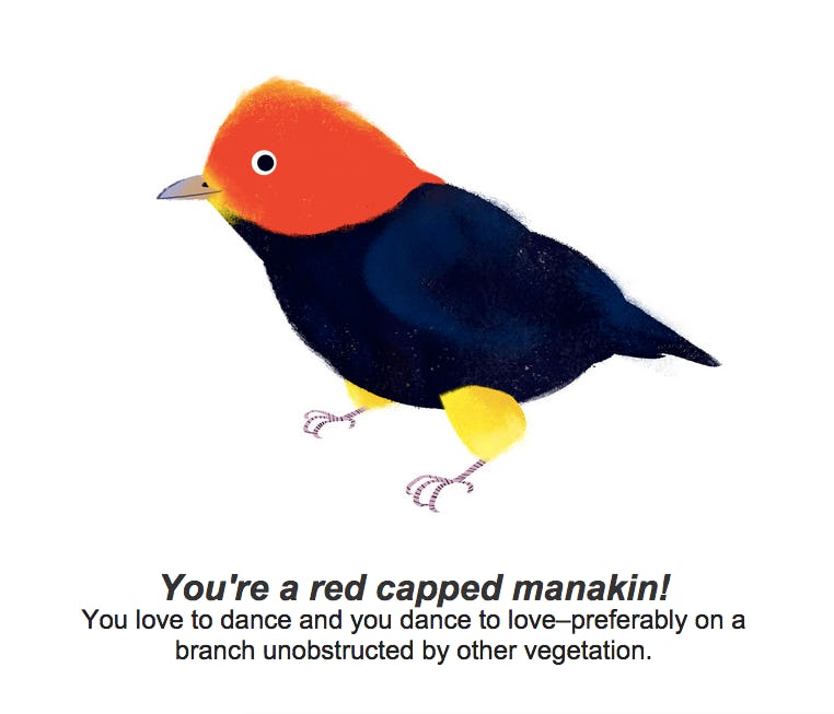 Taking Google's Earth Day "What Animal Are You" Quiz Might Be The Most ...