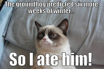 These Groundhog Punxsutawney Phil Memes Will Get You Through The Cold ...