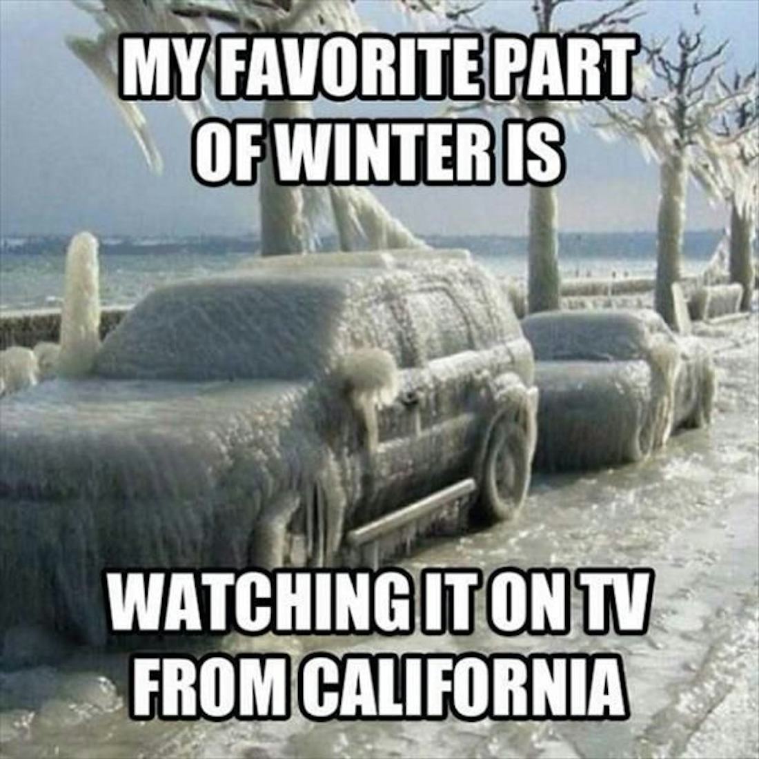 13 First Day Of Winter Memes That Will Help Cure Those Seasonal Blues