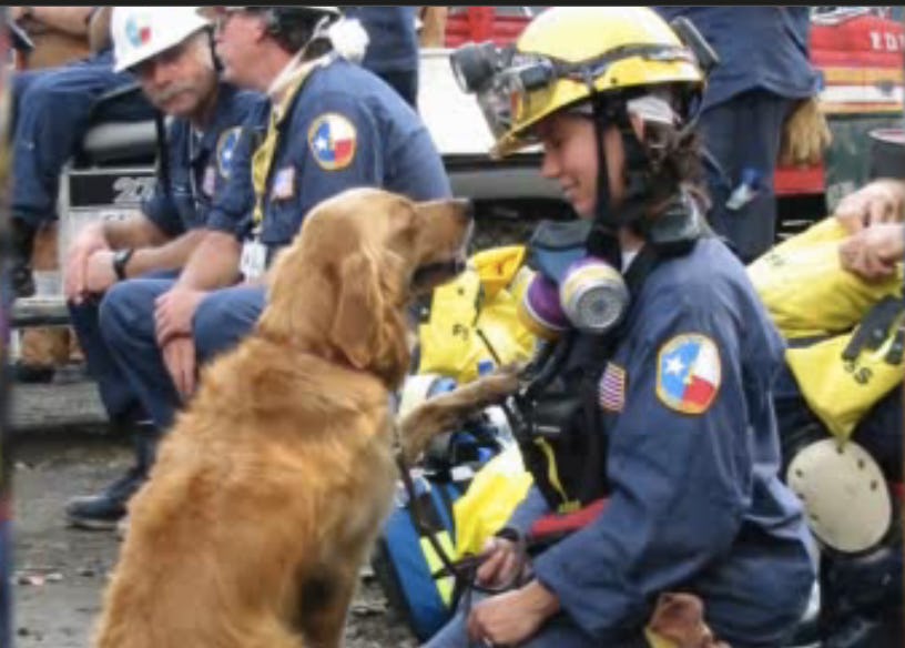 Photos Of The Last 9/11 Rescue Dog Visiting Ground Zero Are Heartbreaking