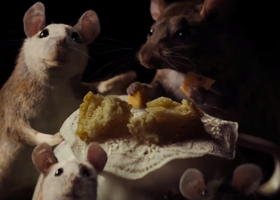 6 Live-Action 'Cinderella' Moments Fans of the Animated Movie Will ...