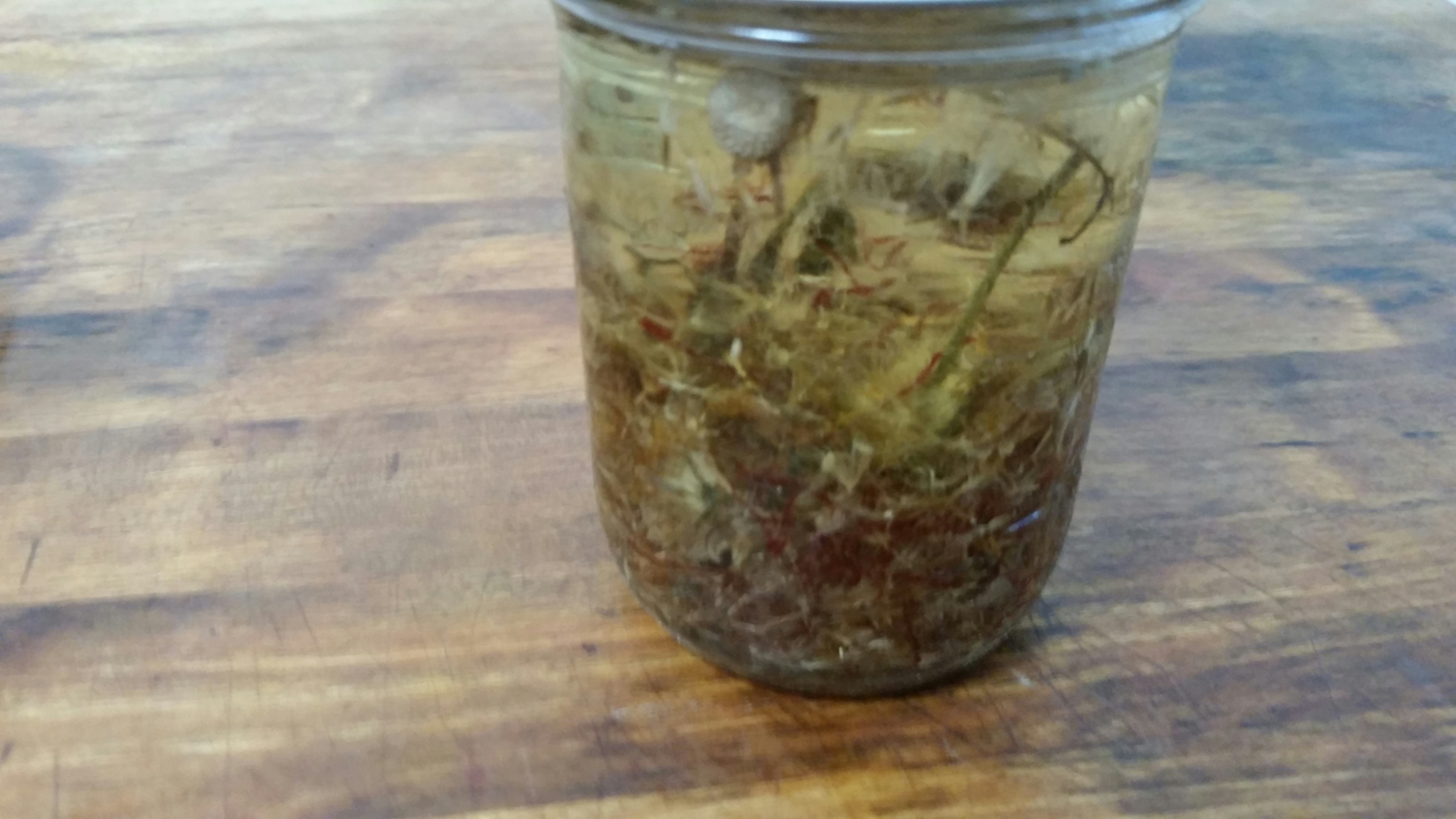 How To Make Herbal Infusions For Beauty Recipes In Your Own Kitchen ...