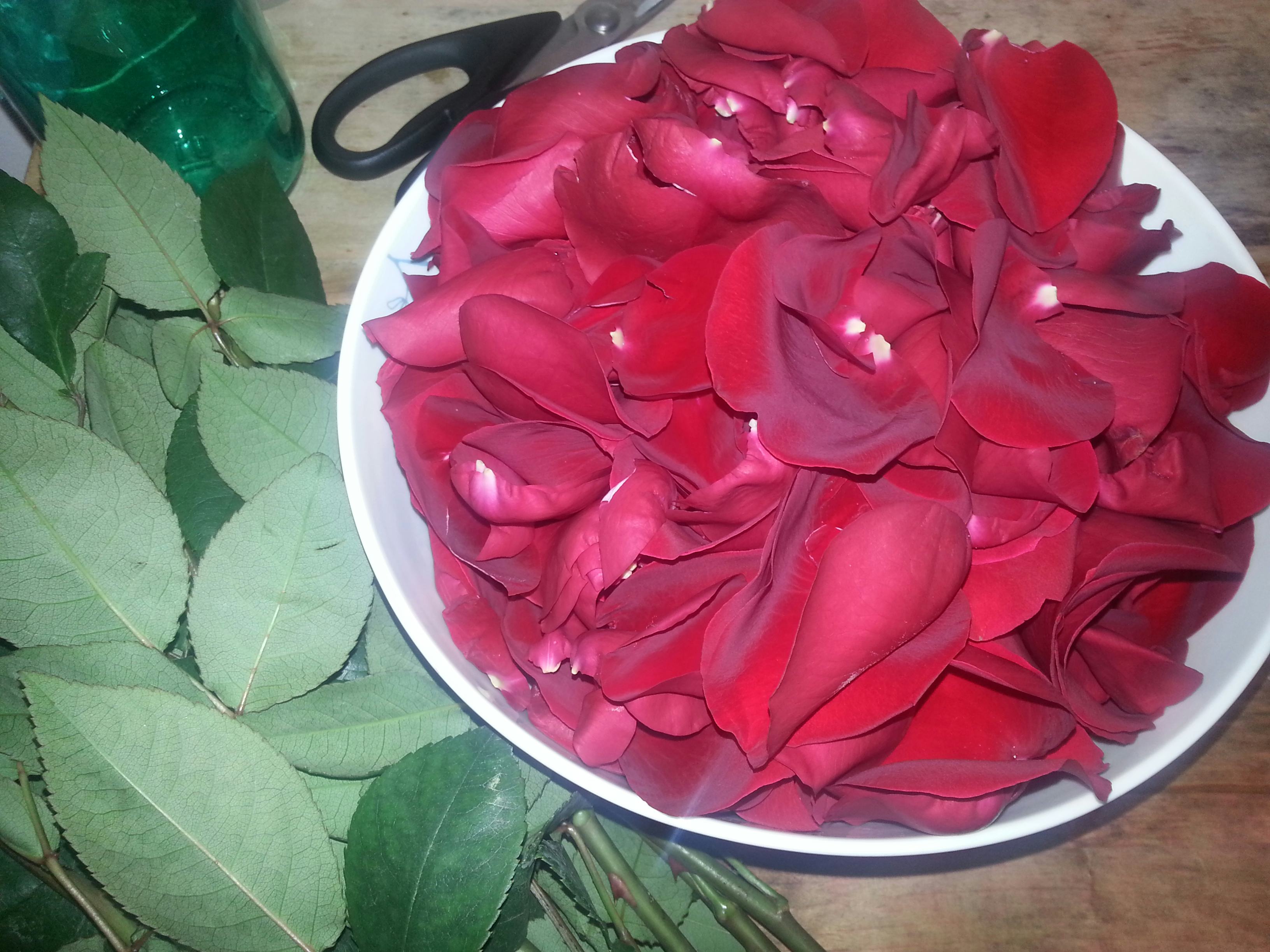 How To Use Rose To Make All Sorts Of Excellent Beauty Products — PHOTOS