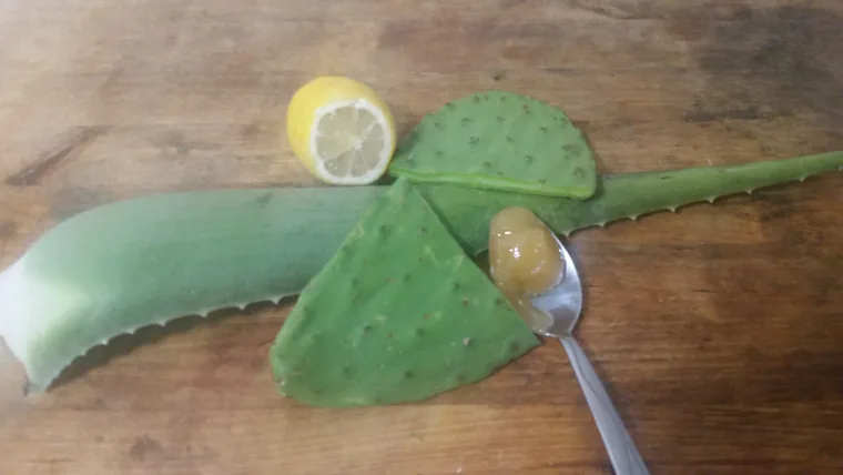 How To Use Cactus For Skin & Hair That's Perfectly Moisturized