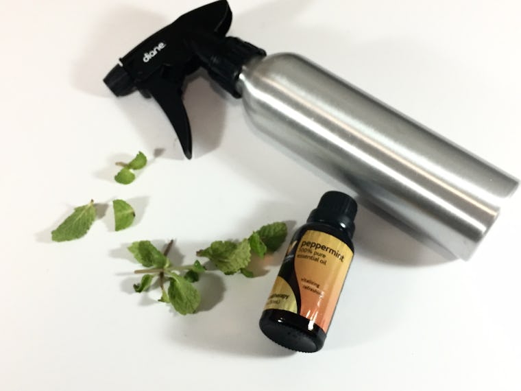 7 Ways To Use Fresh Mint For A Refreshing Beauty Routine — PHOTOS