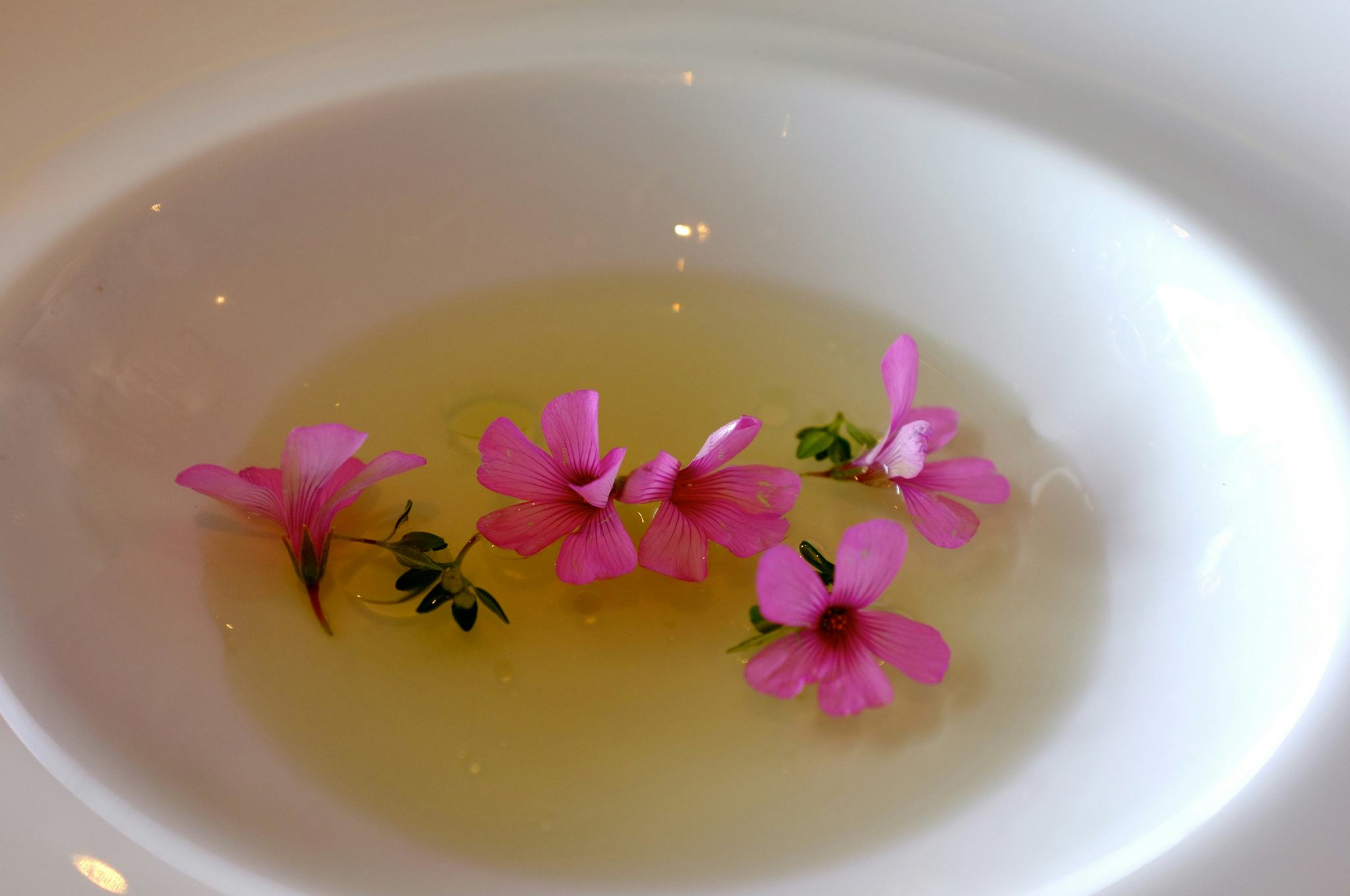 Using Geranium Oil For Acne Treatments Just Might Be The Smartest ...