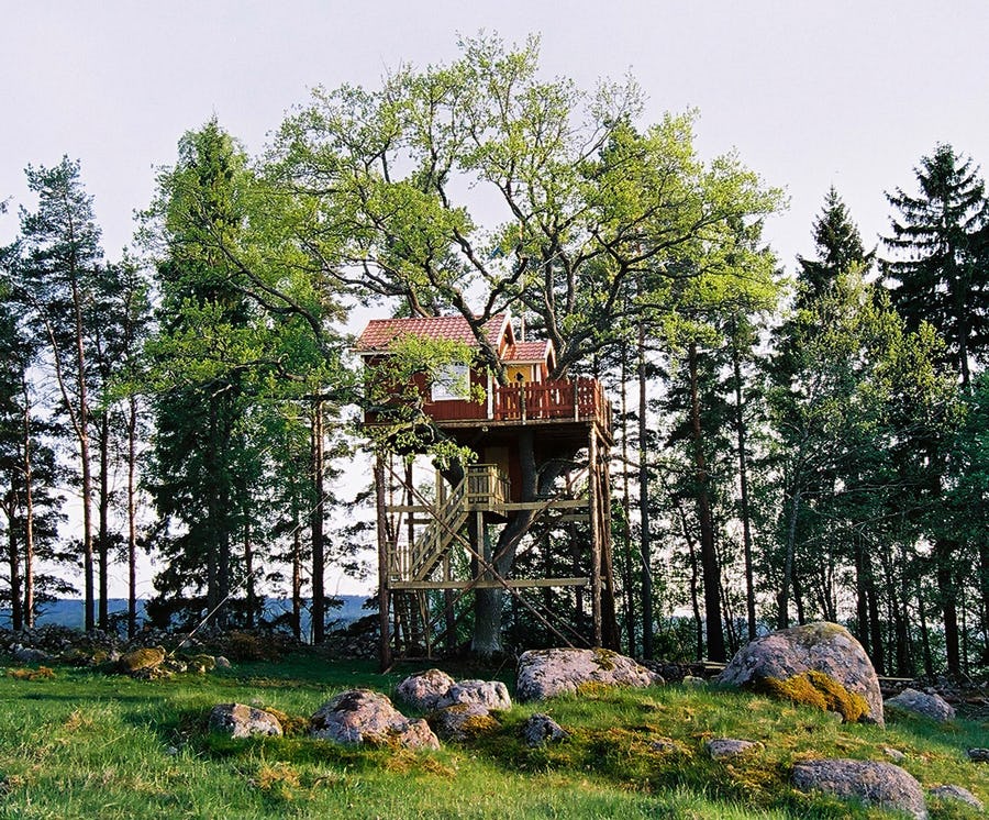 9 Amazing Tree House Hotels From Around The World