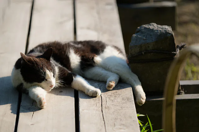 7 Proven Ways To Feel Happier, Because Being In A Good Mood Might Be ...