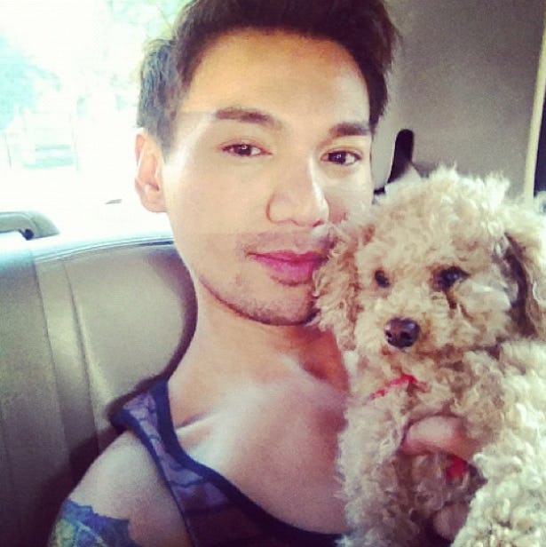 Lady Gaga's Dog Fozzi Bear Has Been MIA for a While, Where Did He Go ...