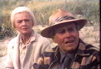 5 Insane Summer Solstice Movies You Need to See (Really, Amanda Seyfried?)