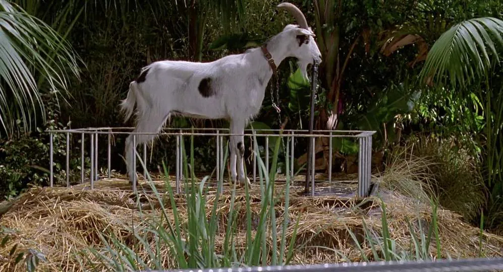 22 'Jurassic Park' References In 'Jurassic World' That'll Make You Warm ...