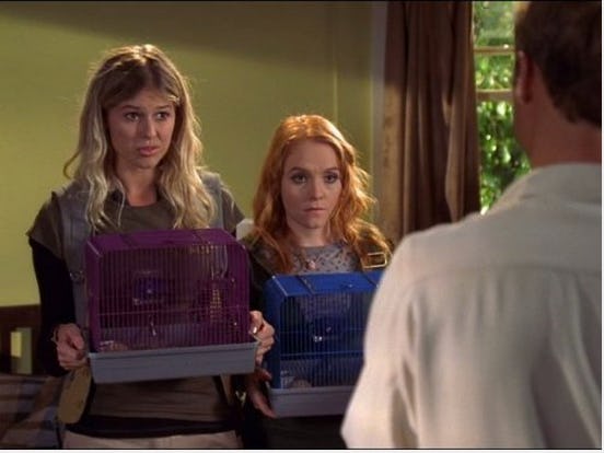 Dennah from 'Marry Me' (aka Sarah Wright Olsen) Is Super Familiar For ...