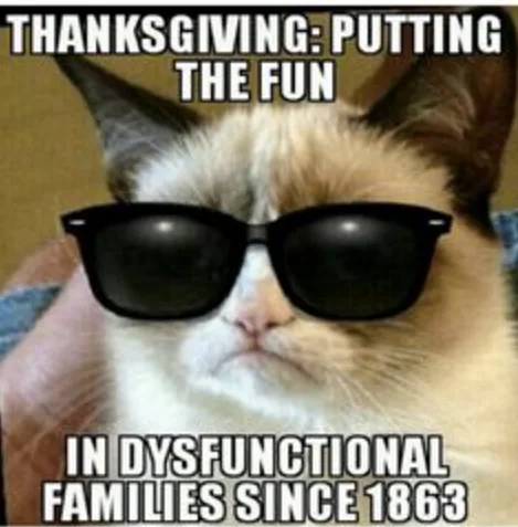 15 Funny Thanksgiving Memes That Your Family Will Appreciate