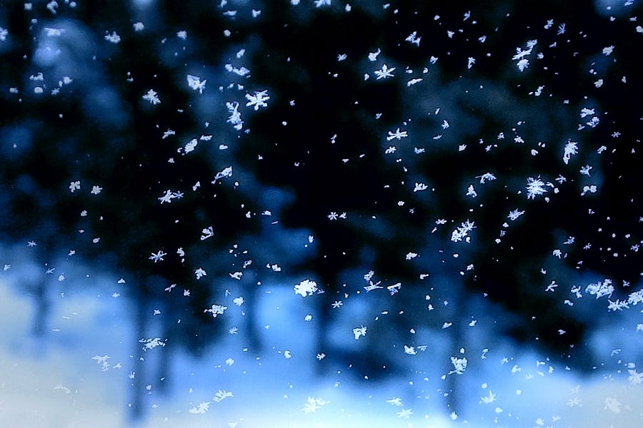20 Snow Quotes To Help You Find Beauty In Any Blizzard — Including ...