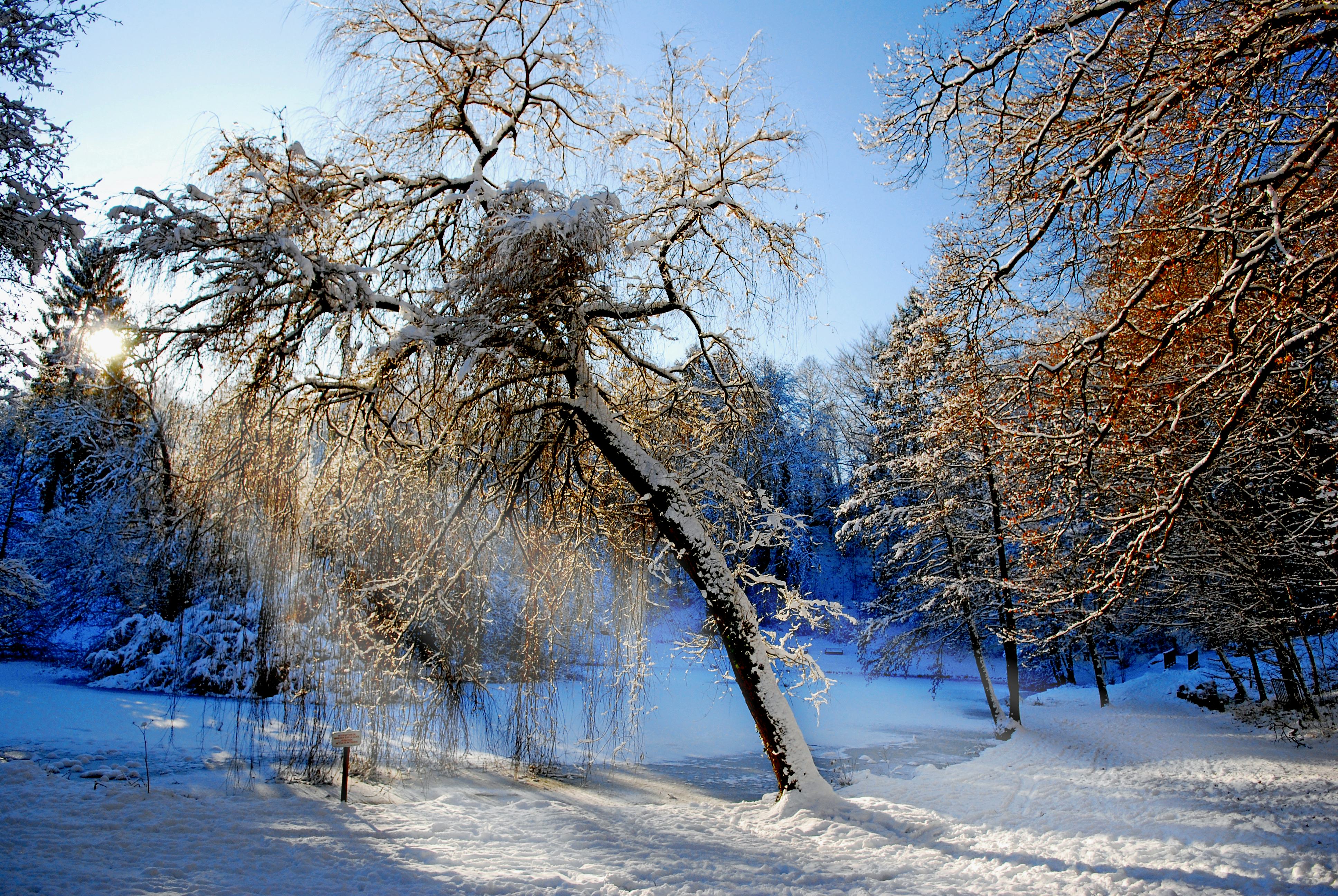 20 Snow Quotes To Help You Find Beauty In Any Blizzard — Including ...