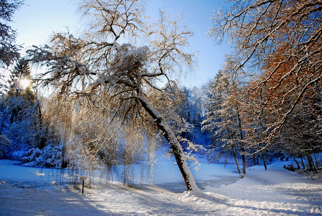 20 Snow Quotes To Help You Find Beauty In Any Blizzard — Including ...