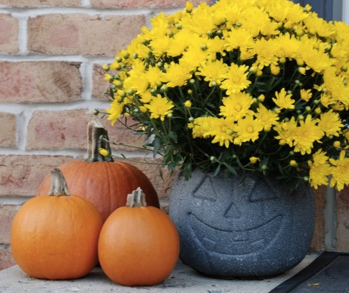 7 Pumpkin Decorating Ideas For Fall That Go Above And Beyond Your ...