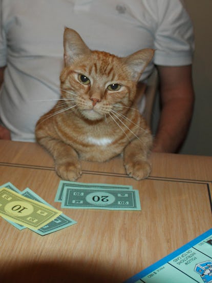 In Honor of National Cat Day, Here Are 23 Reasons Why Cats Make Better ... In Honor of National Cat Day, Here Are 23 Reasons Why Cats Make Better ...