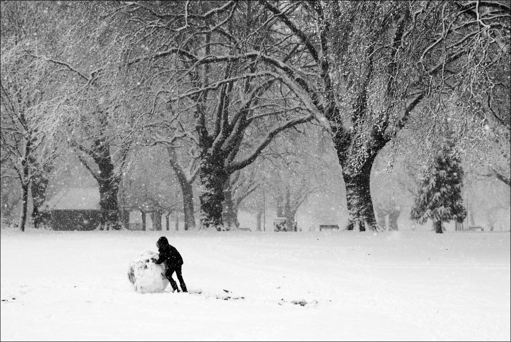 20 Snow Quotes To Help You Find Beauty In Any Blizzard — Including ...