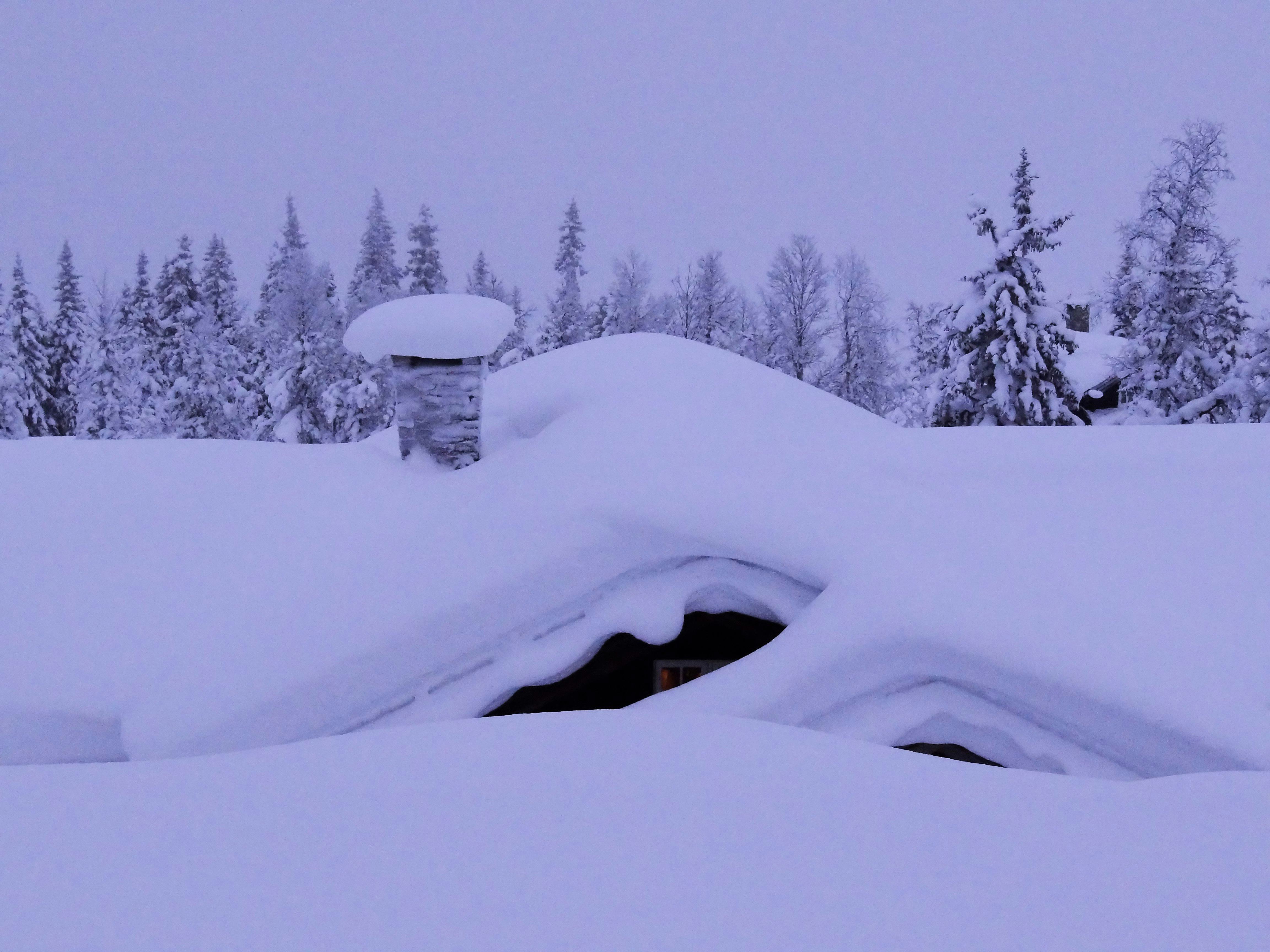 20 Snow Quotes To Help You Find Beauty In Any Blizzard — Including ...