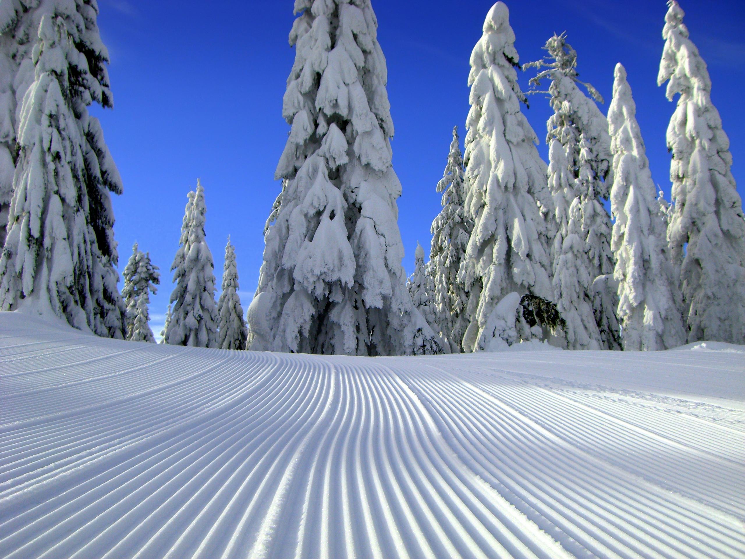 20 Snow Quotes To Help You Find Beauty In Any Blizzard — Including ...