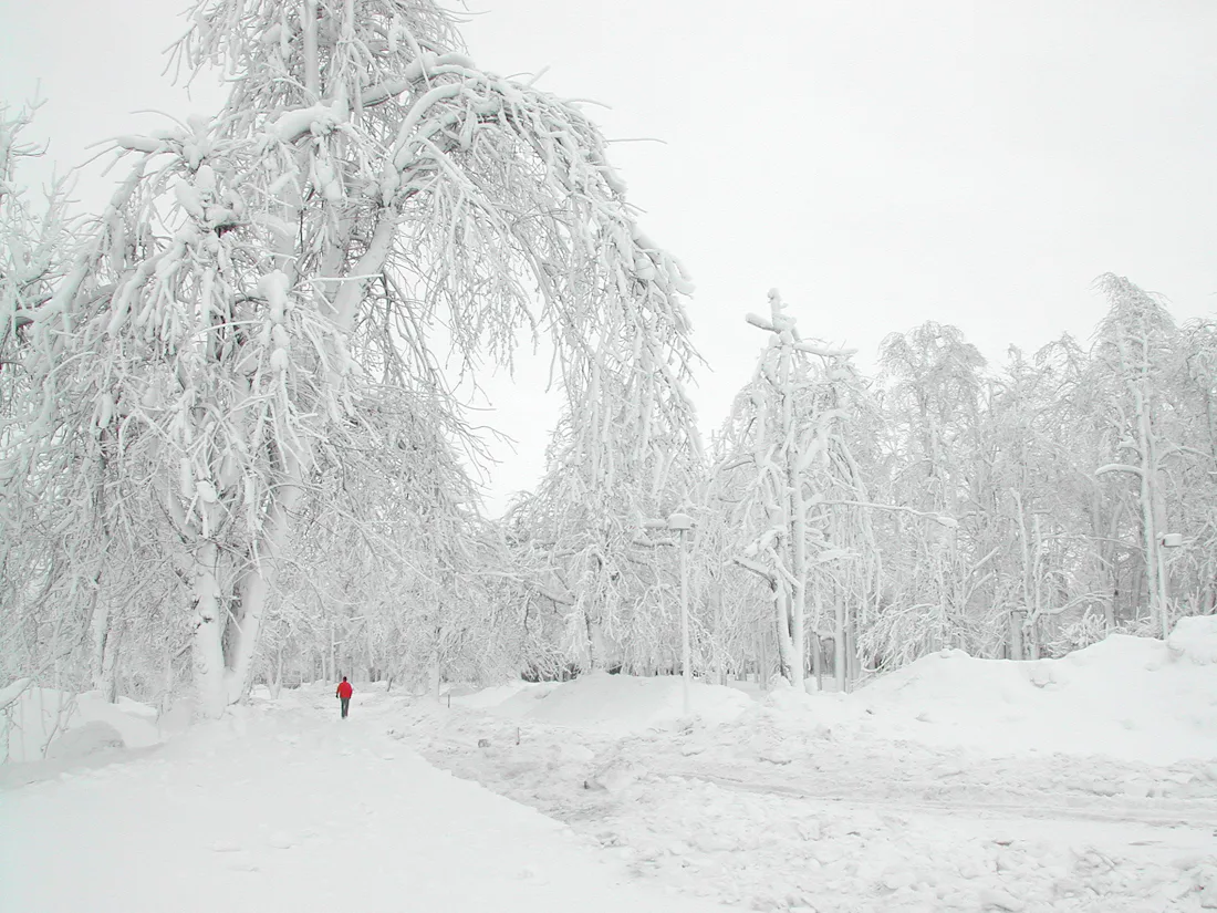 20 Snow Quotes To Help You Find Beauty In Any Blizzard — Including ...