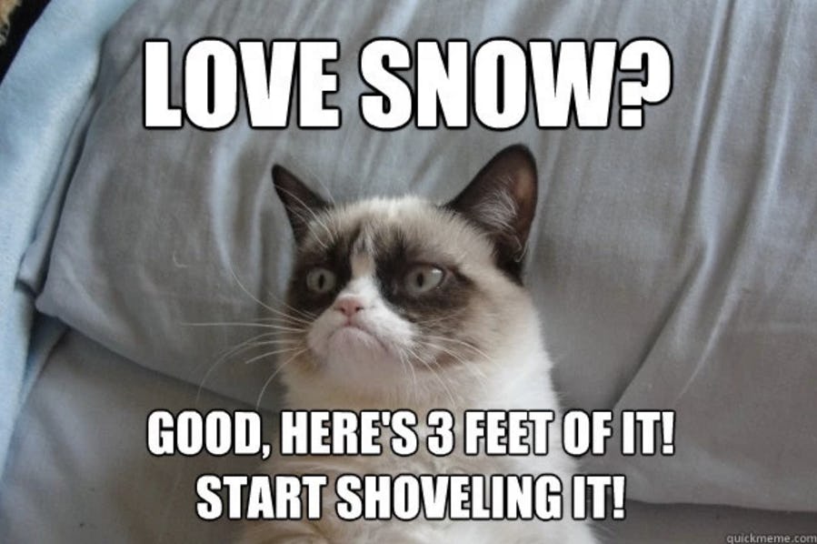 11 Snow Memes To Help You Deal Now That Winter Storm Jonas Is Over