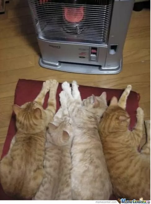 12 Cold Weather Memes That Sum Up How Perfectly Awful Winter Feels