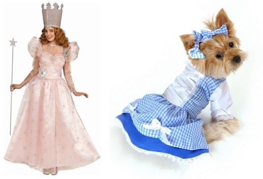 7 Cute, Easy Couples' Costumes For You And Your Dog, So You Can Carry ...