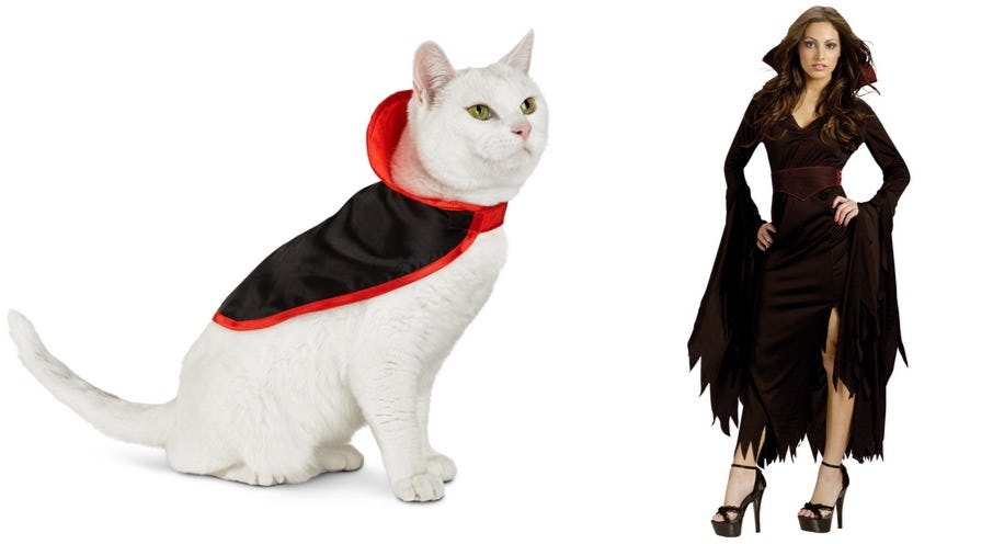 10 Halloween Costumes For Pets & Owners That Will Ensure You Win The ...
